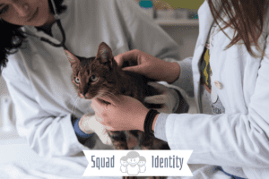 250+ Cool & Catchy Animal Team Names For Your Squad