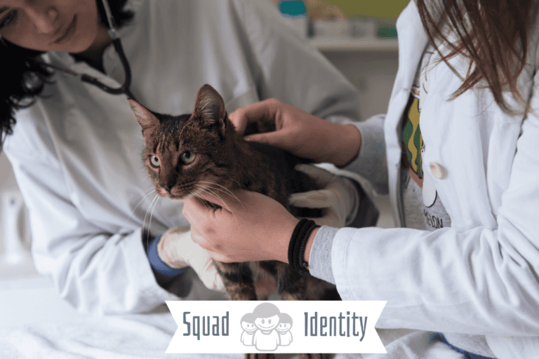 250+ Cool & Catchy Animal Team Names For Your Squad