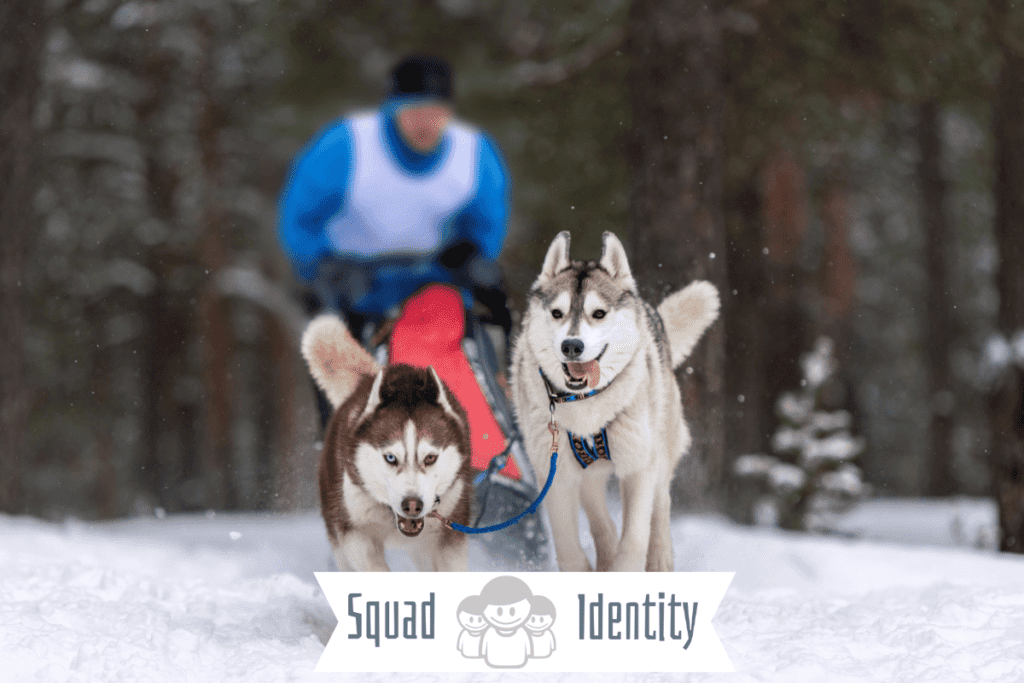 250+ Catchy Rocket League Team Names For Your Squad