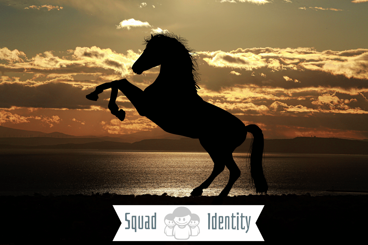 200+ Cool & Catchy Horse Team Names For Your Crew