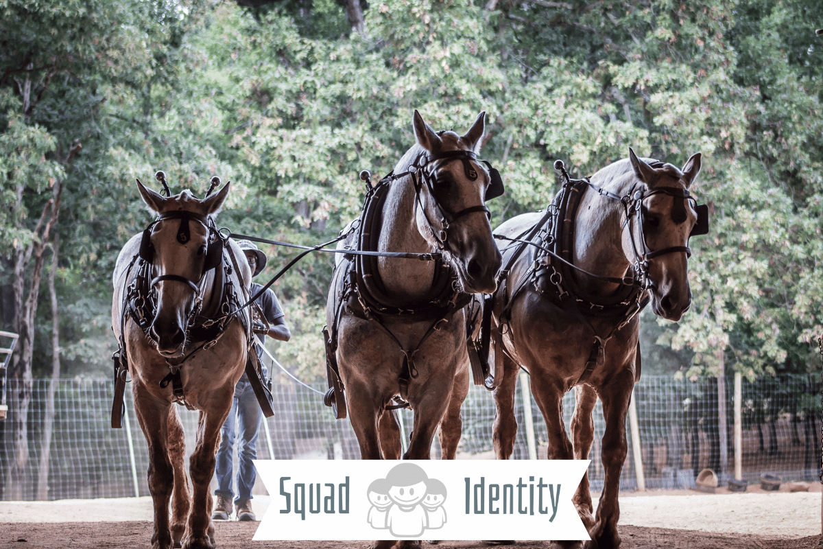 200+ Cool & Catchy Horse Team Names For Your Crew