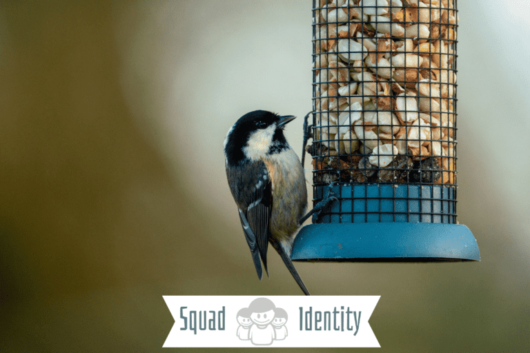 200+ Cool & Catchy Bird Team Names For Your Unique Squad