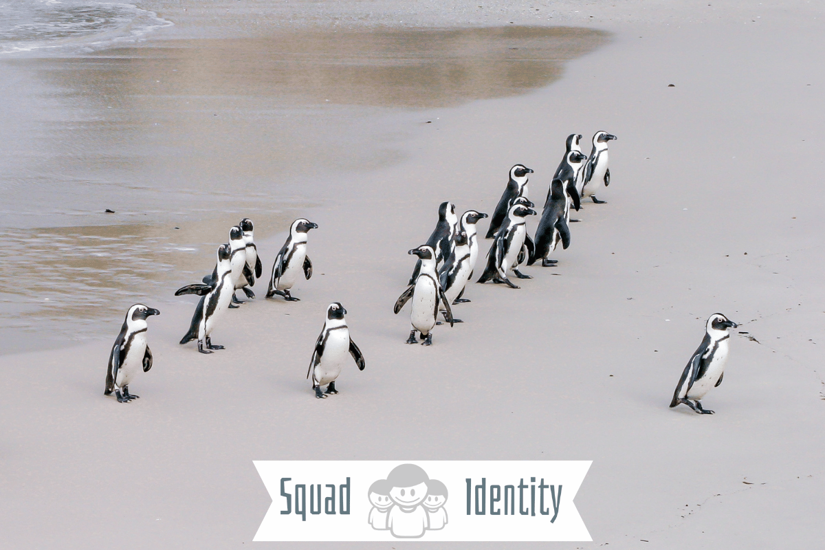 200+ Cool & Catchy Bird Team Names For Your Unique Squad