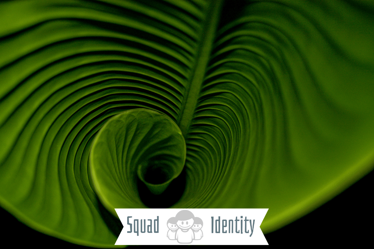 200+ Cute & Catchy Banana Team Names For Your Crew