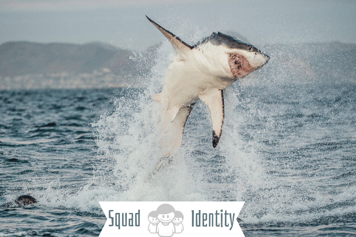 250+ Cool & Catchy Shark Team Names For Your Squad